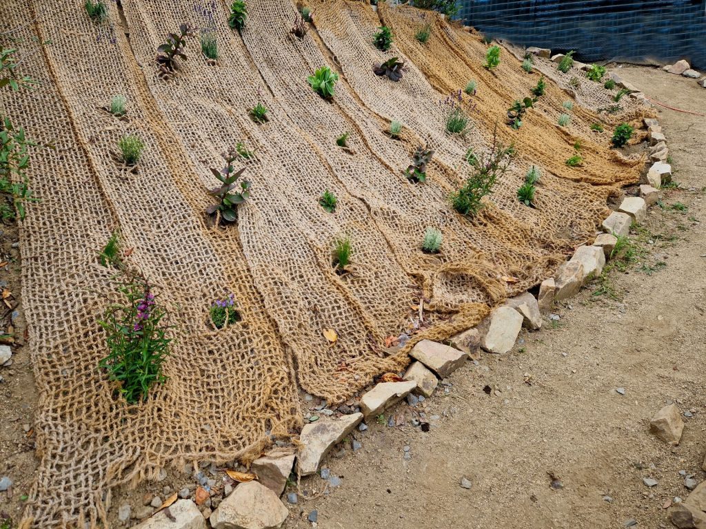 What Causes Soil Erosion? How Do You Control It? - Path Light Pro